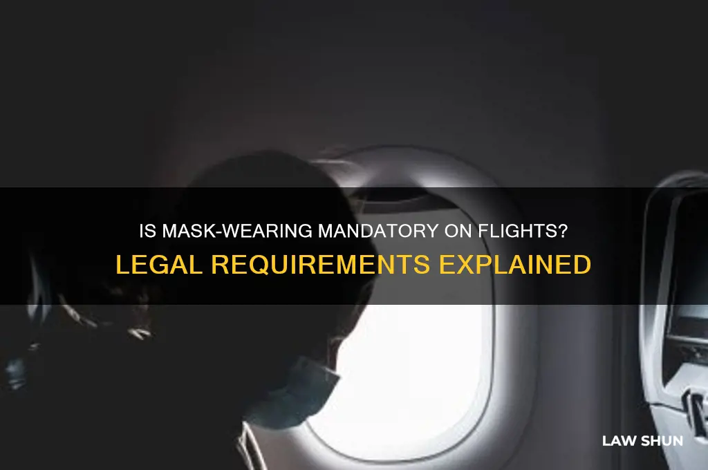 Is Mask-Wearing Mandatory On Flights? Legal Requirements Explained ...