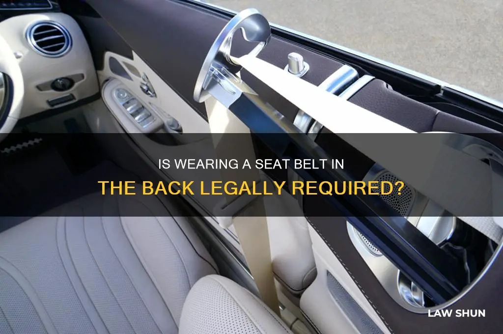 Is Wearing A Seat Belt In The Back Legally Required? | LawShun