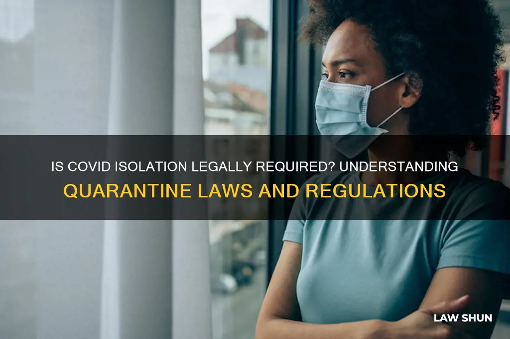 Is Covid Isolation Legally Required? Understanding Quarantine Laws And ...