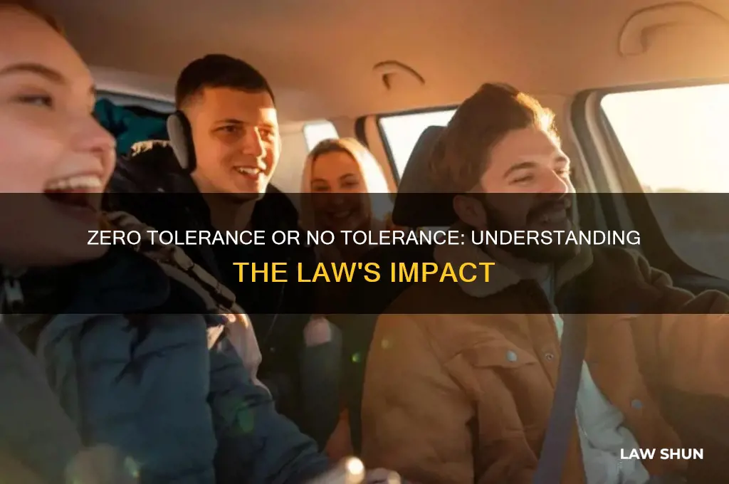 Zero Tolerance Or No Tolerance: Understanding The Law's Impact | LawShun