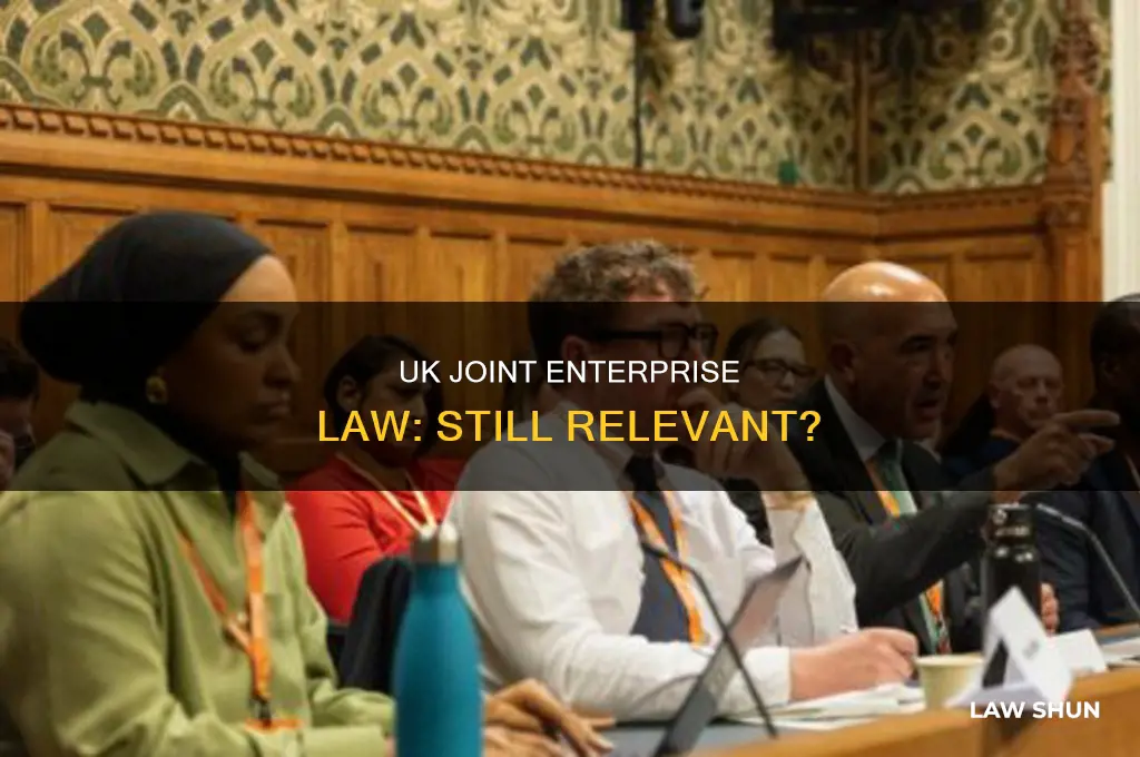 Uk Joint Enterprise Law: Still Relevant? | LawShun