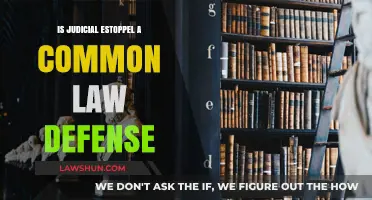 Japan's Legal System: Common Or Civil Law? | LawShun