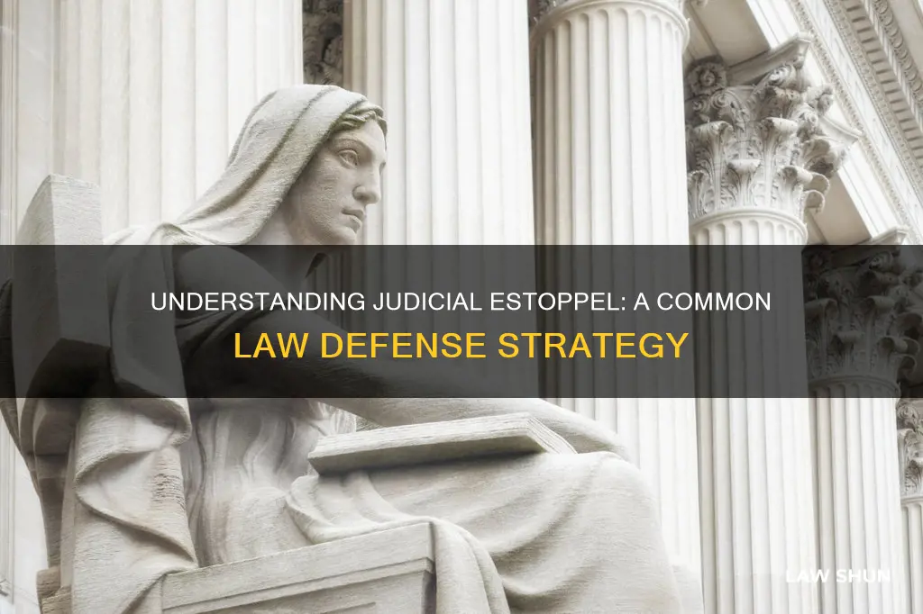 Understanding Judicial Estoppel: A Common Law Defense Strategy | LawShun