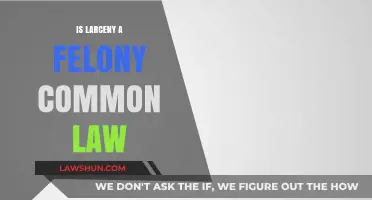 Japan's Legal System: Common Or Civil Law? | LawShun