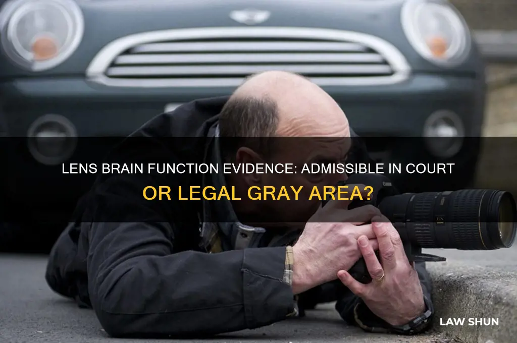 Lens Brain Function Evidence: Admissible In Court Or Legal Gray Area ...
