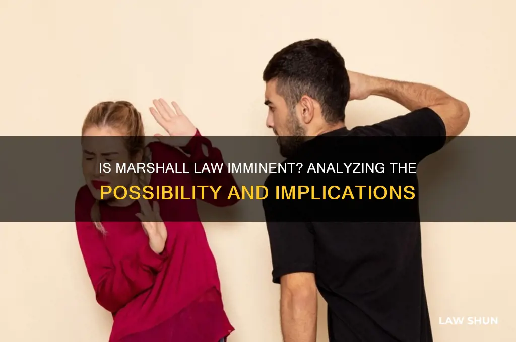 Is Marshall Law Imminent? Analyzing The Possibility And Implications ...