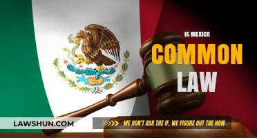 Civil Law Vs Common Law: Mexico's Legal System | LawShun