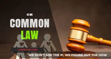 Japan's Legal System: Common Or Civil Law? | LawShun