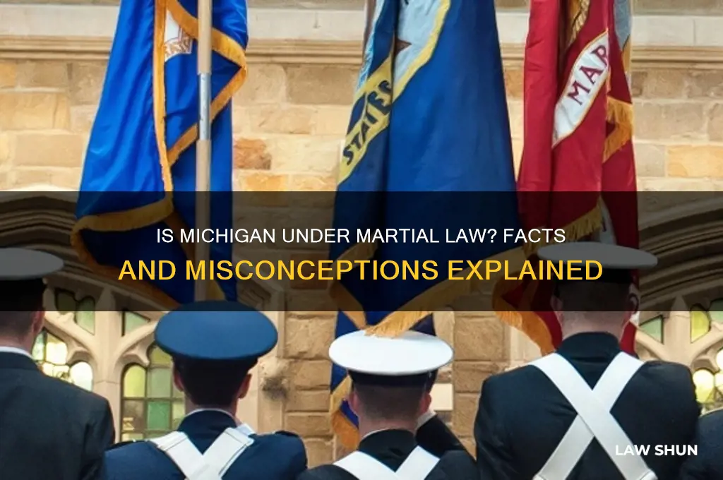 Is Michigan Under Martial Law? Facts And Misconceptions Explained | LawShun
