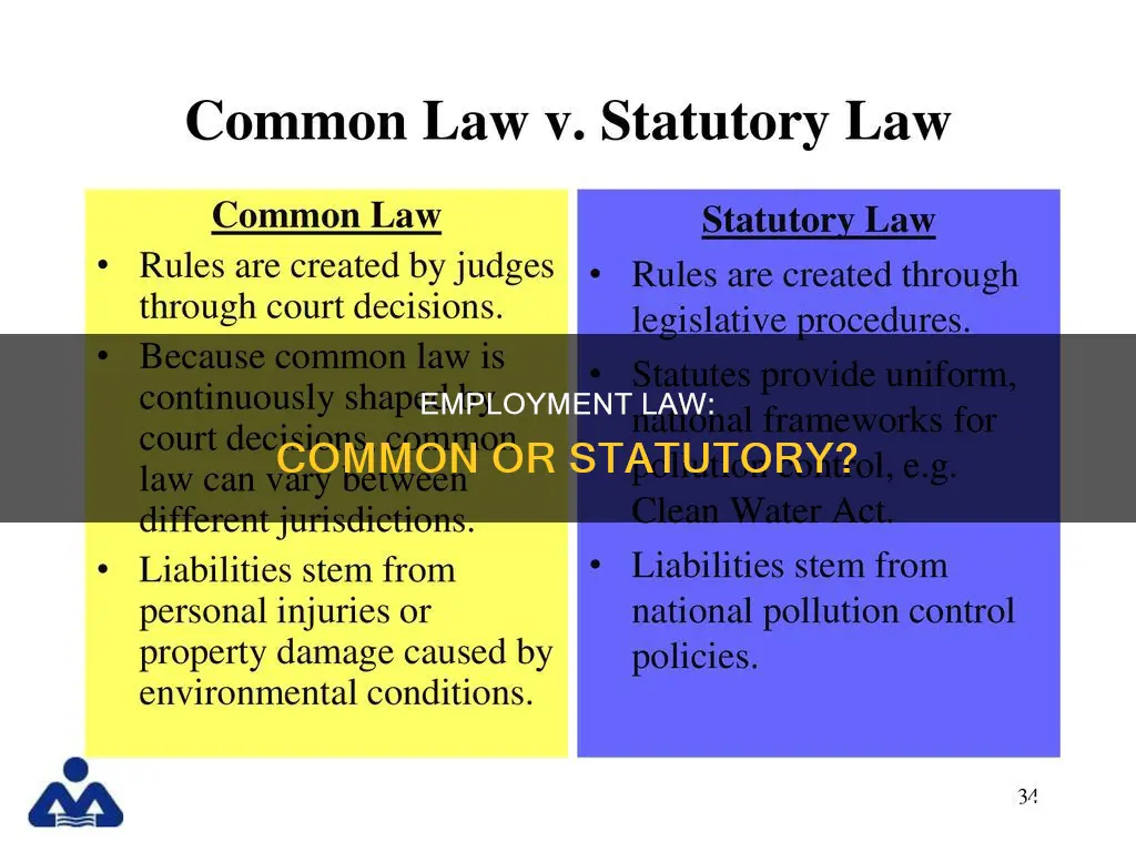 Employment Law: Common Or Statutory? | LawShun
