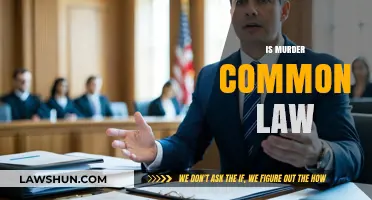 Last Shot Rule: Ucc Or Common Law? | LawShun