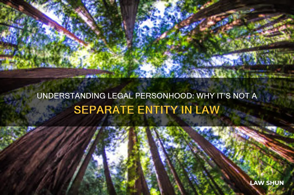 Understanding Legal Personhood: Why It’S Not A Separate Entity In Law ...