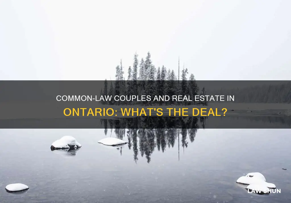 Common-Law Couples And Real Estate In Ontario: What's The Deal? | LawShun