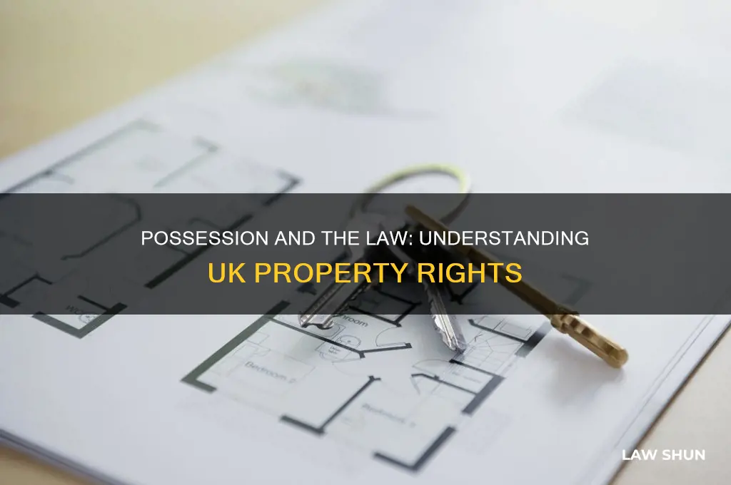 Possession And The Law: Understanding Uk Property Rights | LawShun