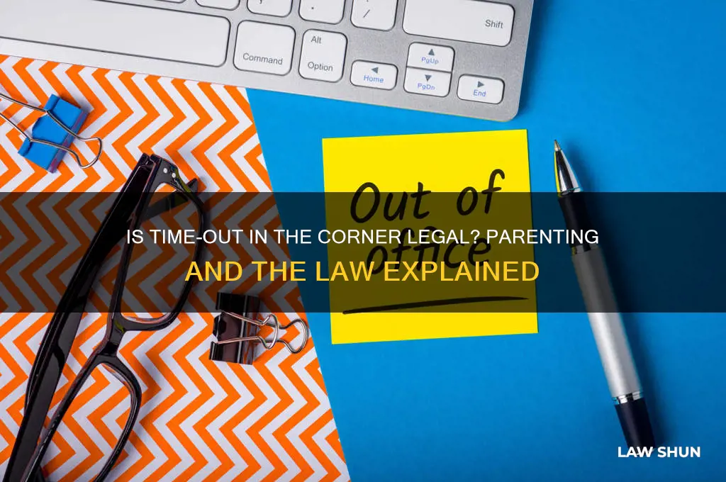 Is Time-Out In The Corner Legal? Parenting And The Law Explained | LawShun