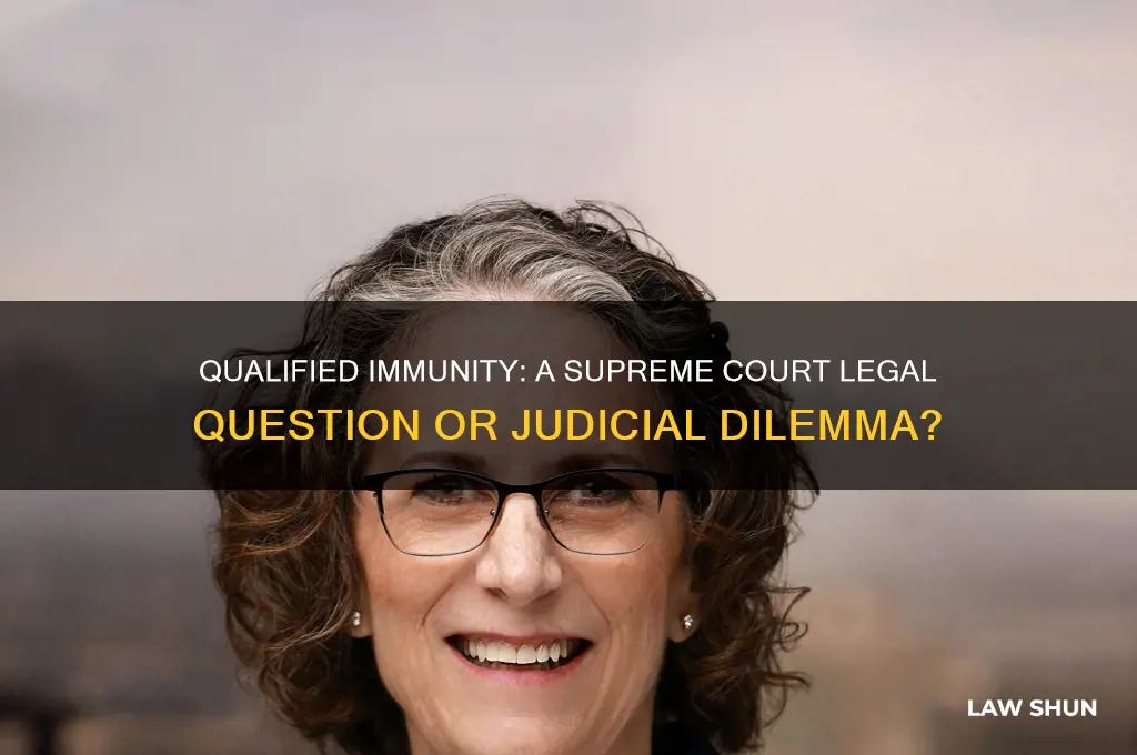 Qualified Immunity: A Supreme Court Legal Question Or Judicial Dilemma ...