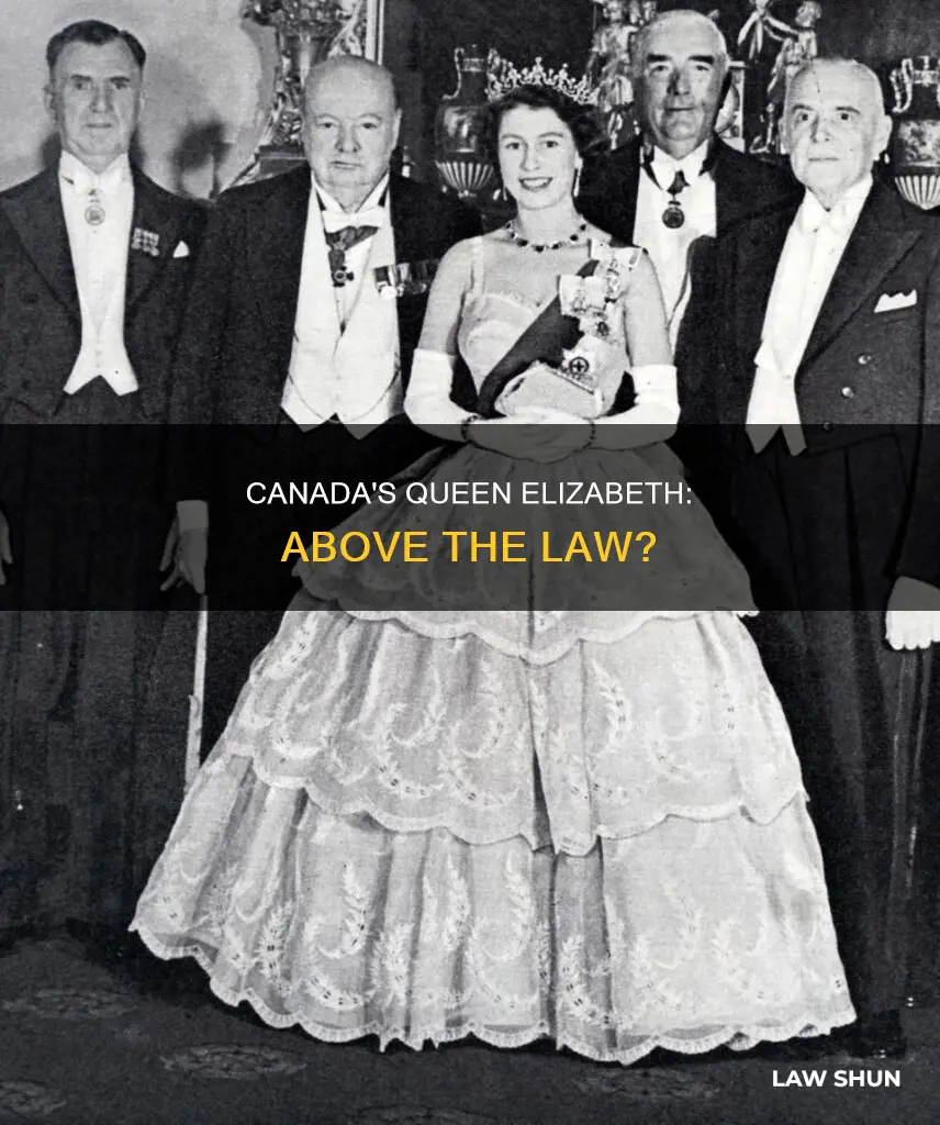 Canada's Queen Elizabeth: Above The Law? | LawShun