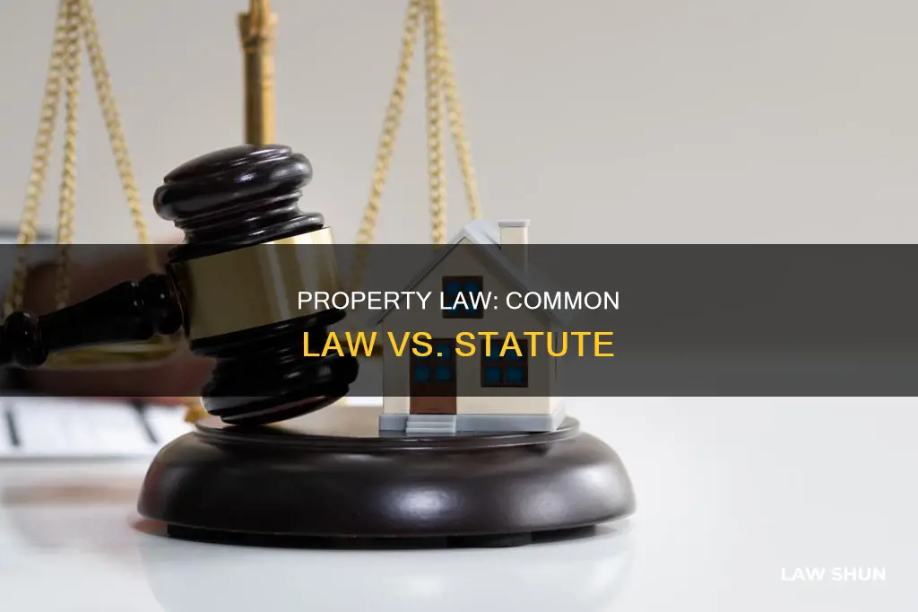 Property Law: Common Law Vs. Statute | LawShun