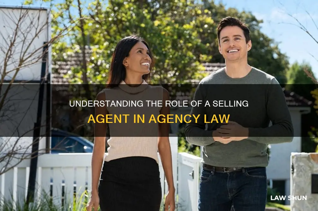 Understanding The Role Of A Selling Agent In Agency Law | LawShun