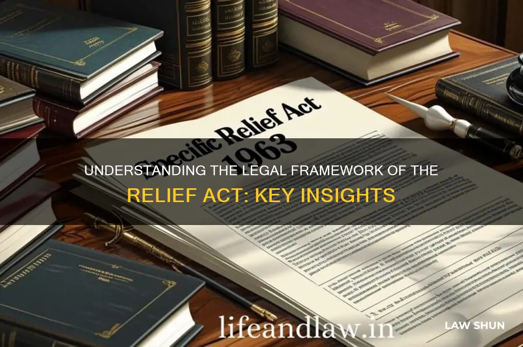 Understanding The Legal Framework Of The Relief Act: Key Insights | LawShun
