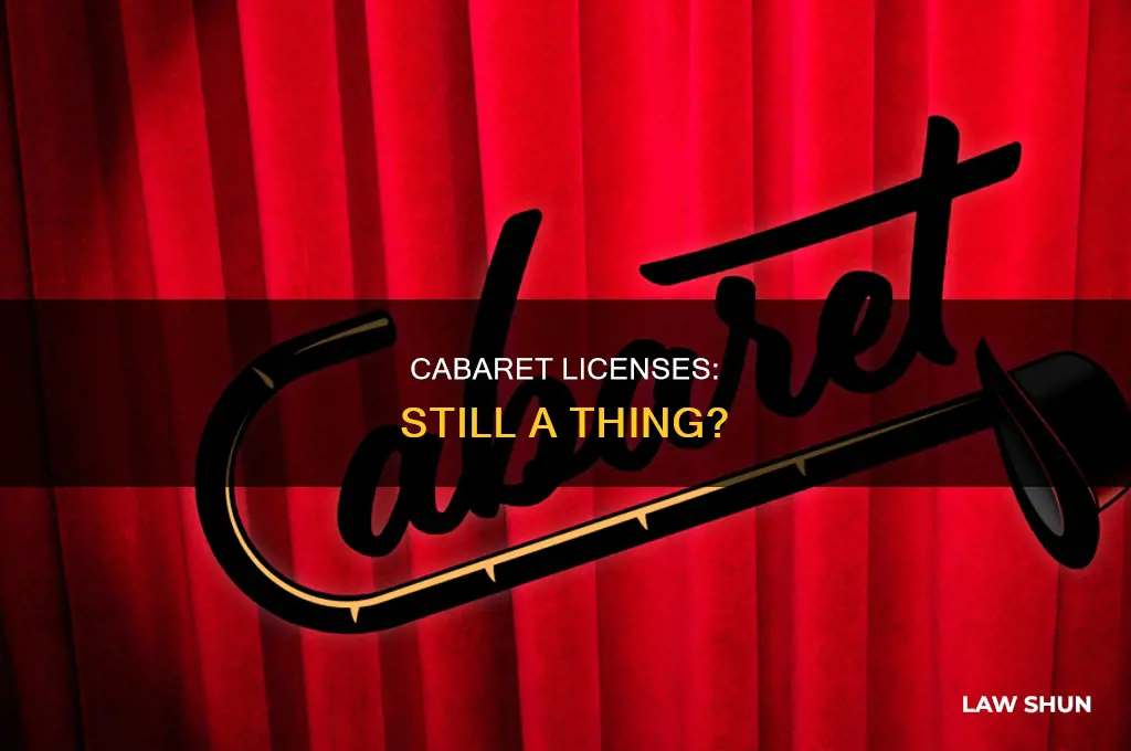 Cabaret Licenses: Still A Thing? | LawShun