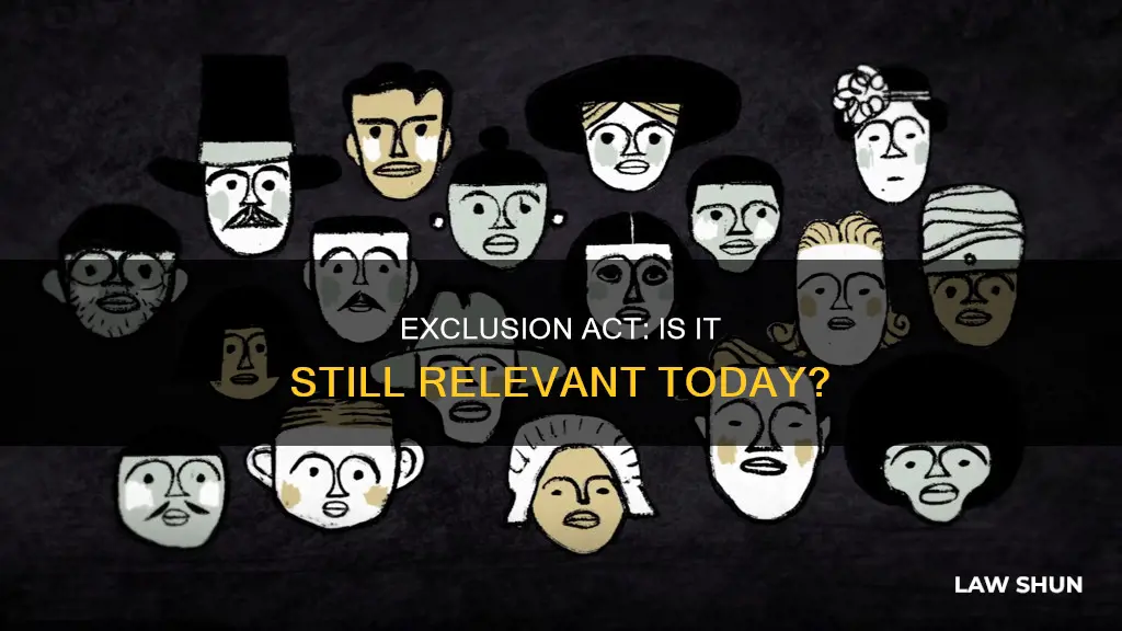 Exclusion Act: Is It Still Relevant Today? | LawShun
