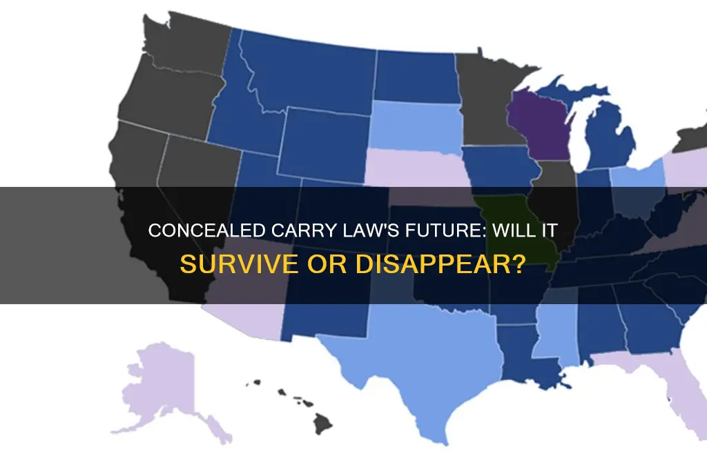 Concealed Carry Law's Future: Will It Survive Or Disappear? | LawShun