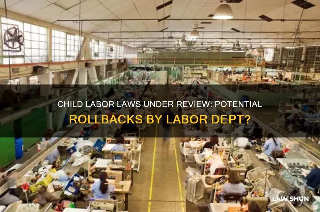 Child Labor Laws Under Review: Potential Rollbacks By Labor Dept? | LawShun