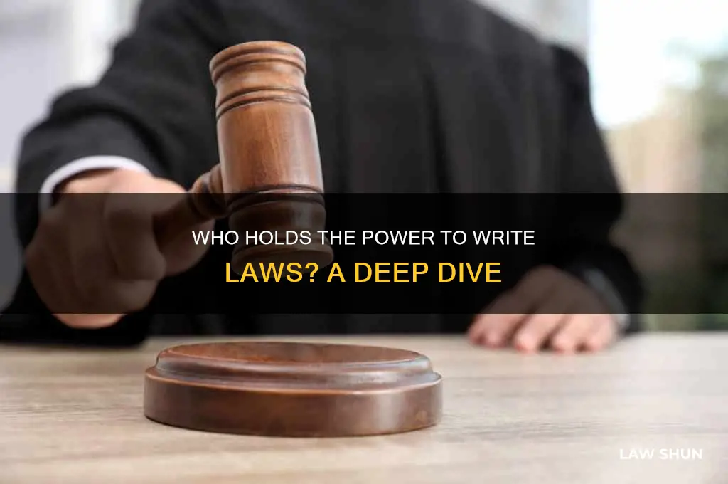 Who Holds The Power To Write Laws? A Deep Dive | LawShun