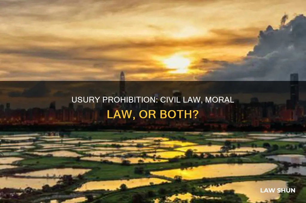 Usury Prohibition: Civil Law, Moral Law, Or Both? | LawShun