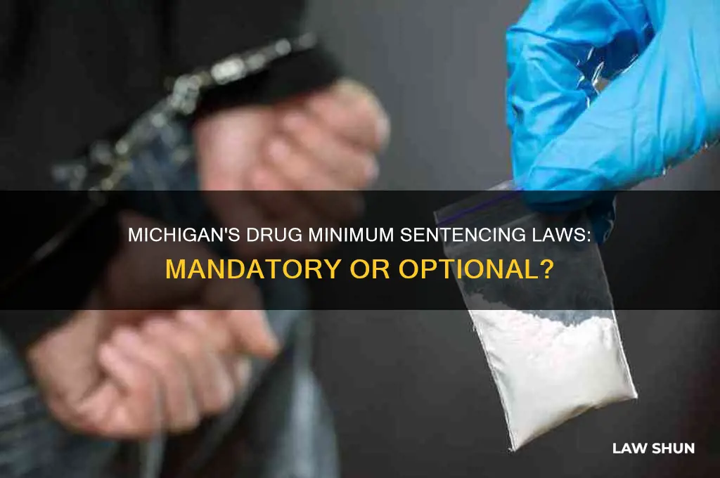 Michigan's Drug Minimum Sentencing Laws: Mandatory Or Optional? | LawShun