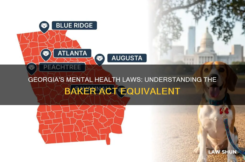Georgia's Mental Health Laws: Understanding The Baker Act Equivalent ...