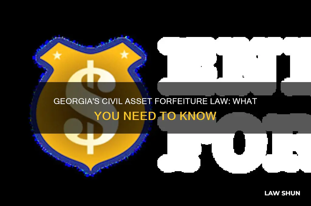 Georgia's Civil Asset Forfeiture Law: What You Need To Know | LawShun
