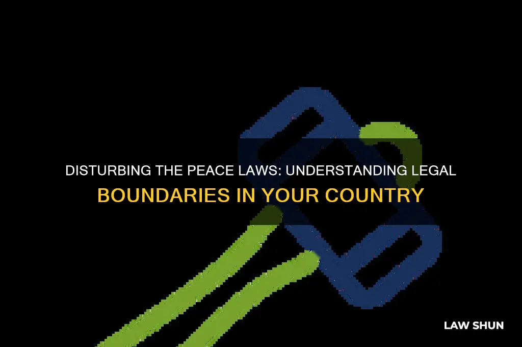 Disturbing The Peace Laws: Understanding Legal Boundaries In Your ...
