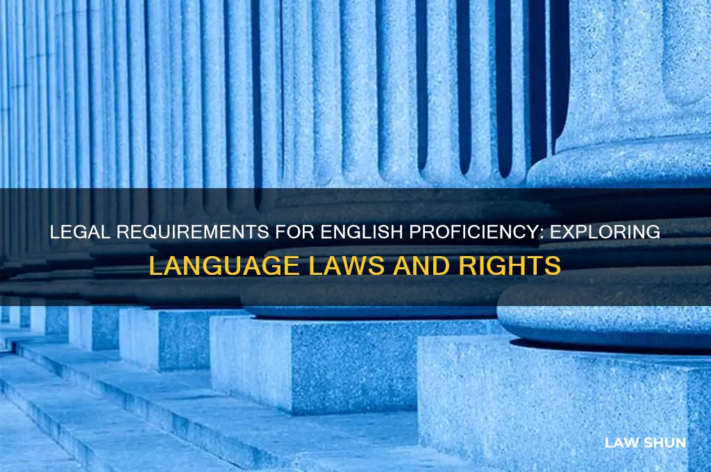 Legal Requirements For English Proficiency: Exploring Language Laws And ...