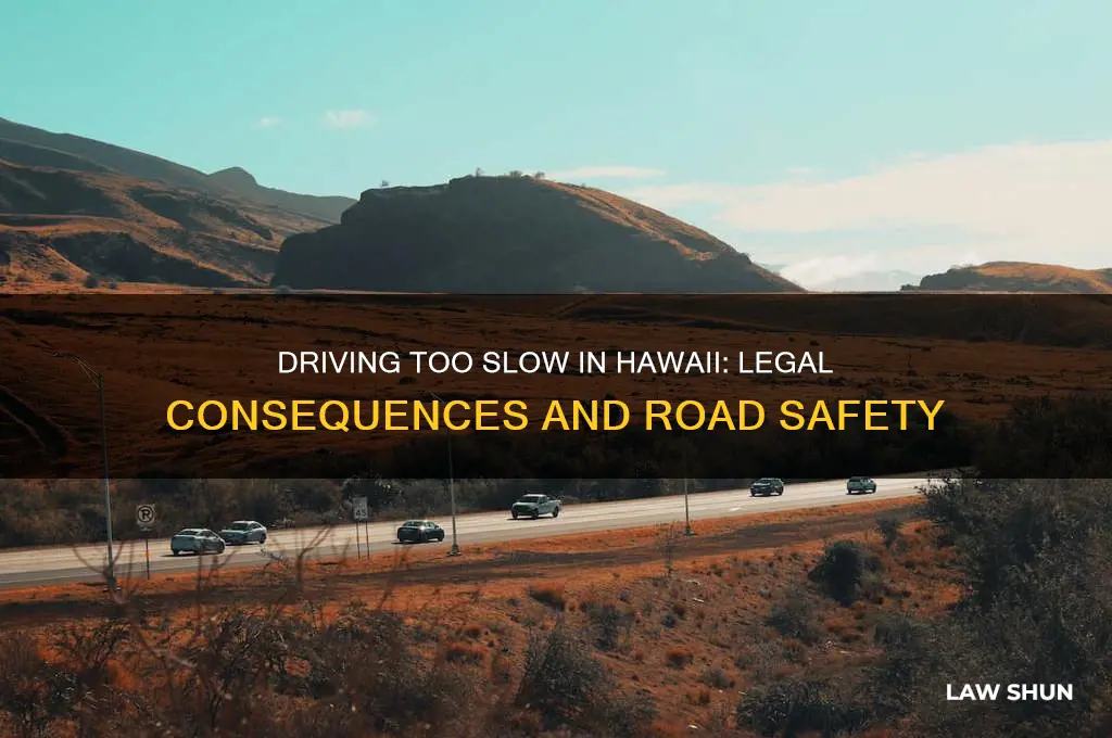 Driving Too Slow In Hawaii: Legal Consequences And Road Safety | LawShun