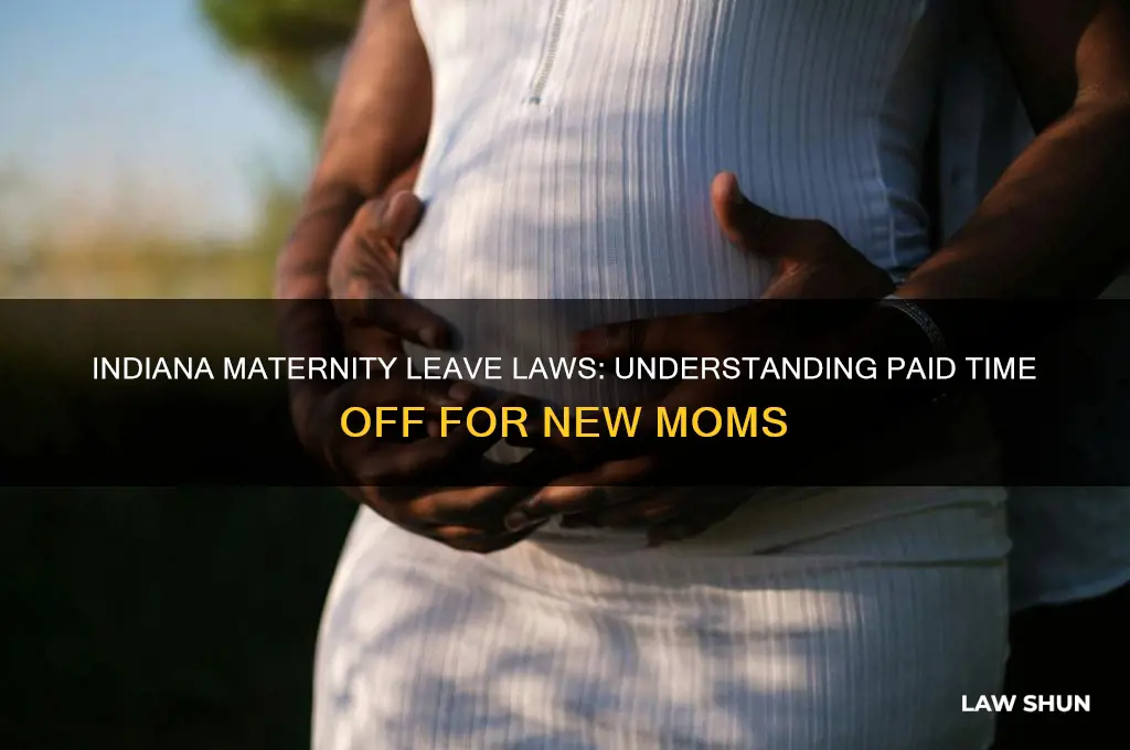 Indiana Maternity Leave Laws: Understanding Paid Time Off For New Moms ...