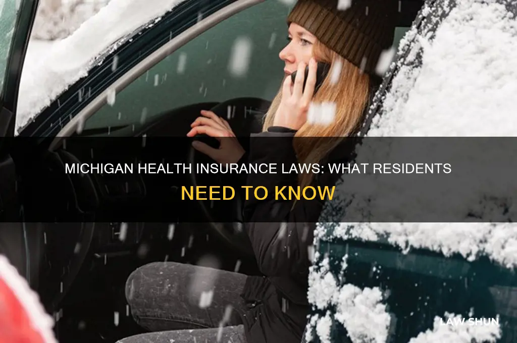 Michigan Health Insurance Laws: What Residents Need To Know | LawShun