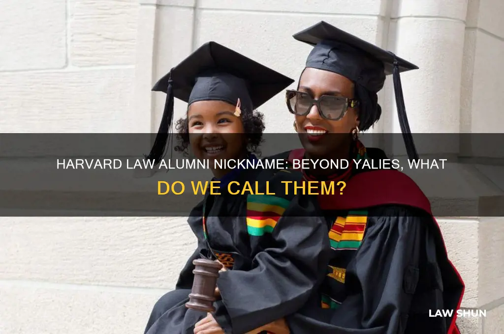 Harvard Law Alumni Nickname: Beyond Yalies, What Do We Call Them? | LawShun