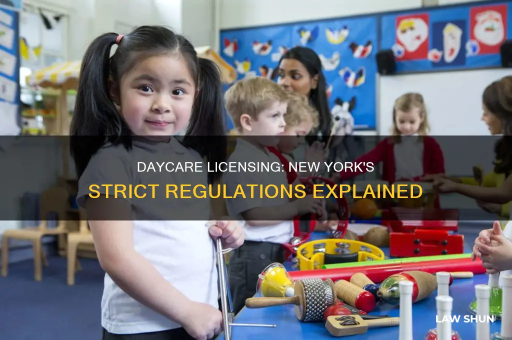 Daycare Licensing: New York's Strict Regulations Explained | LawShun