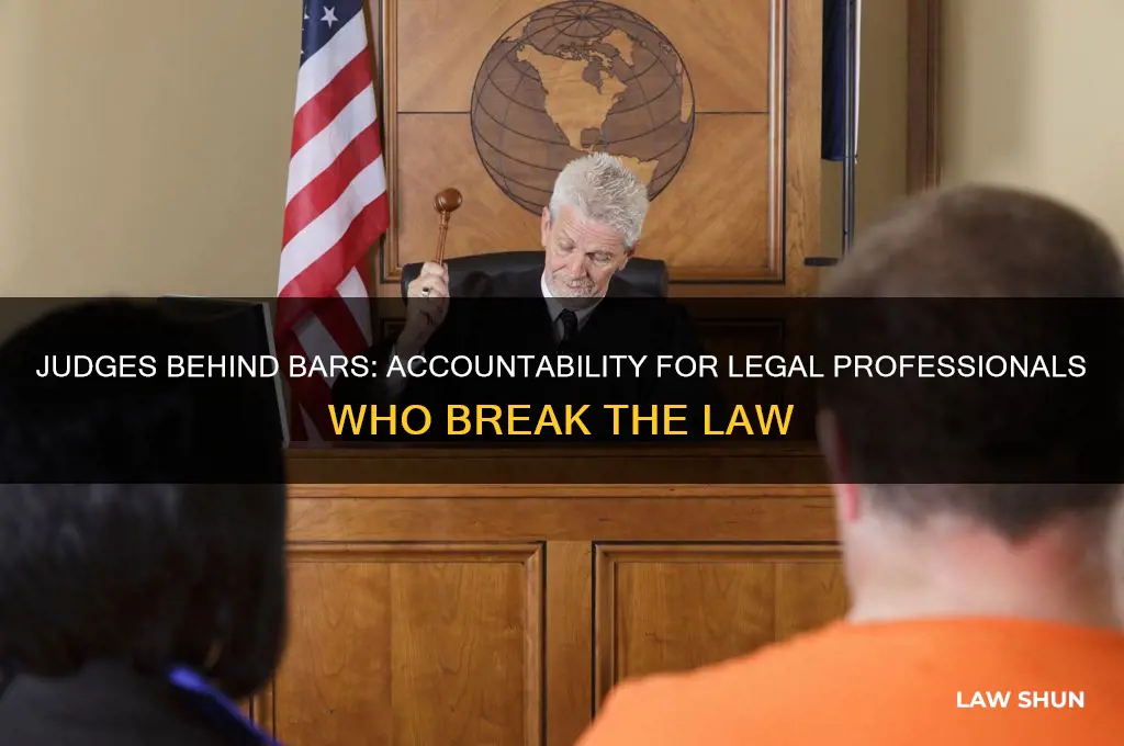 Judges Behind Bars: Accountability For Legal Professionals Who Break ...