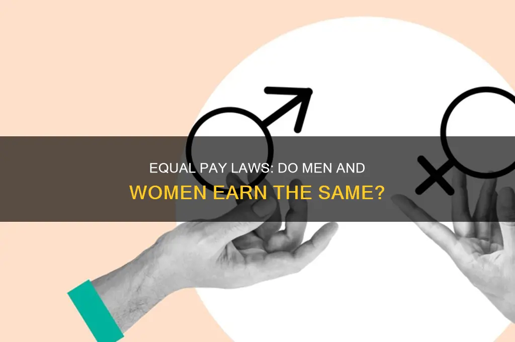 Equal Pay Laws: Do Men And Women Earn The Same? | LawShun