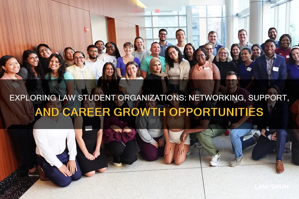 Exploring Law Student Organizations: Networking, Support, And Career ...