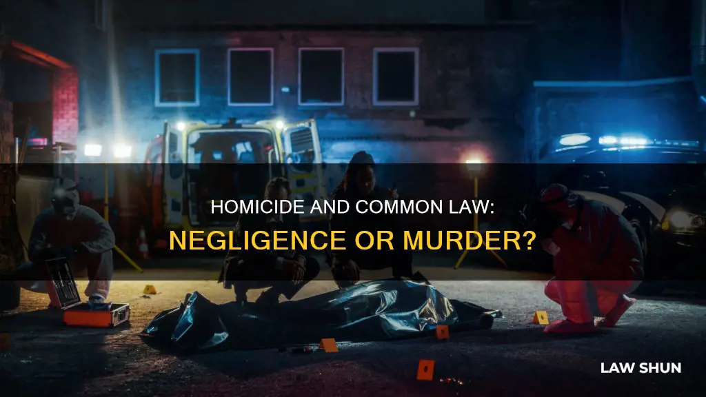 Homicide And Common Law: Negligence Or Murder? | LawShun