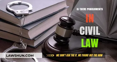 Understanding Civil Law Remedies: Legal Solutions For Civil Disputes ...