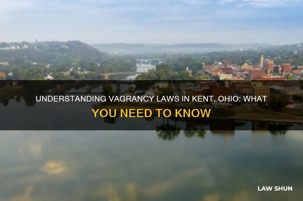 Understanding Vagrancy Laws In Kent, Ohio: What You Need To Know | LawShun