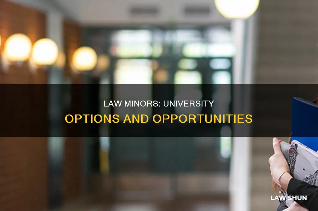 Law Minors: University Options And Opportunities | LawShun
