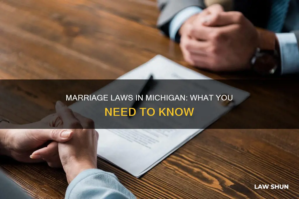 Marriage Laws In Michigan: What You Need To Know | LawShun