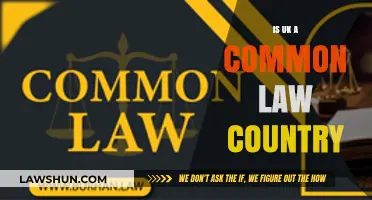 Civil Or Common Law: What's The Uk's Legal System? | LawShun