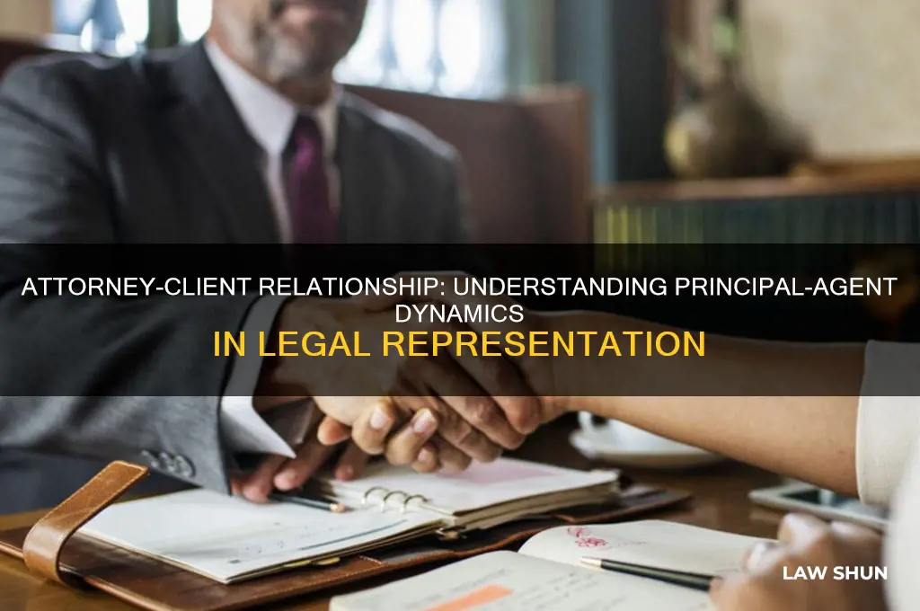 Attorney-Client Relationship: Understanding Principal-Agent Dynamics In ...